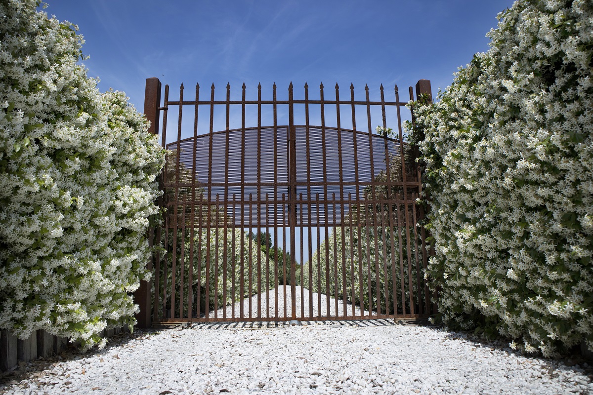 2025 s Hottest Iron Gate Styles For Homes And Businesses Big Easy